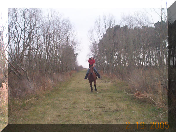 Louisiana trail ride on the Illi